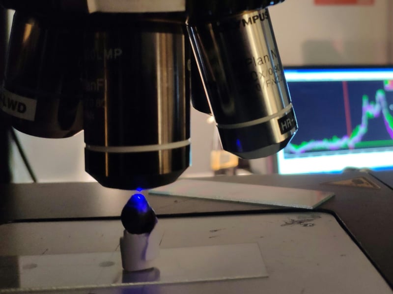 A cave's shell beads reveal oldest use of organic red colorant ...