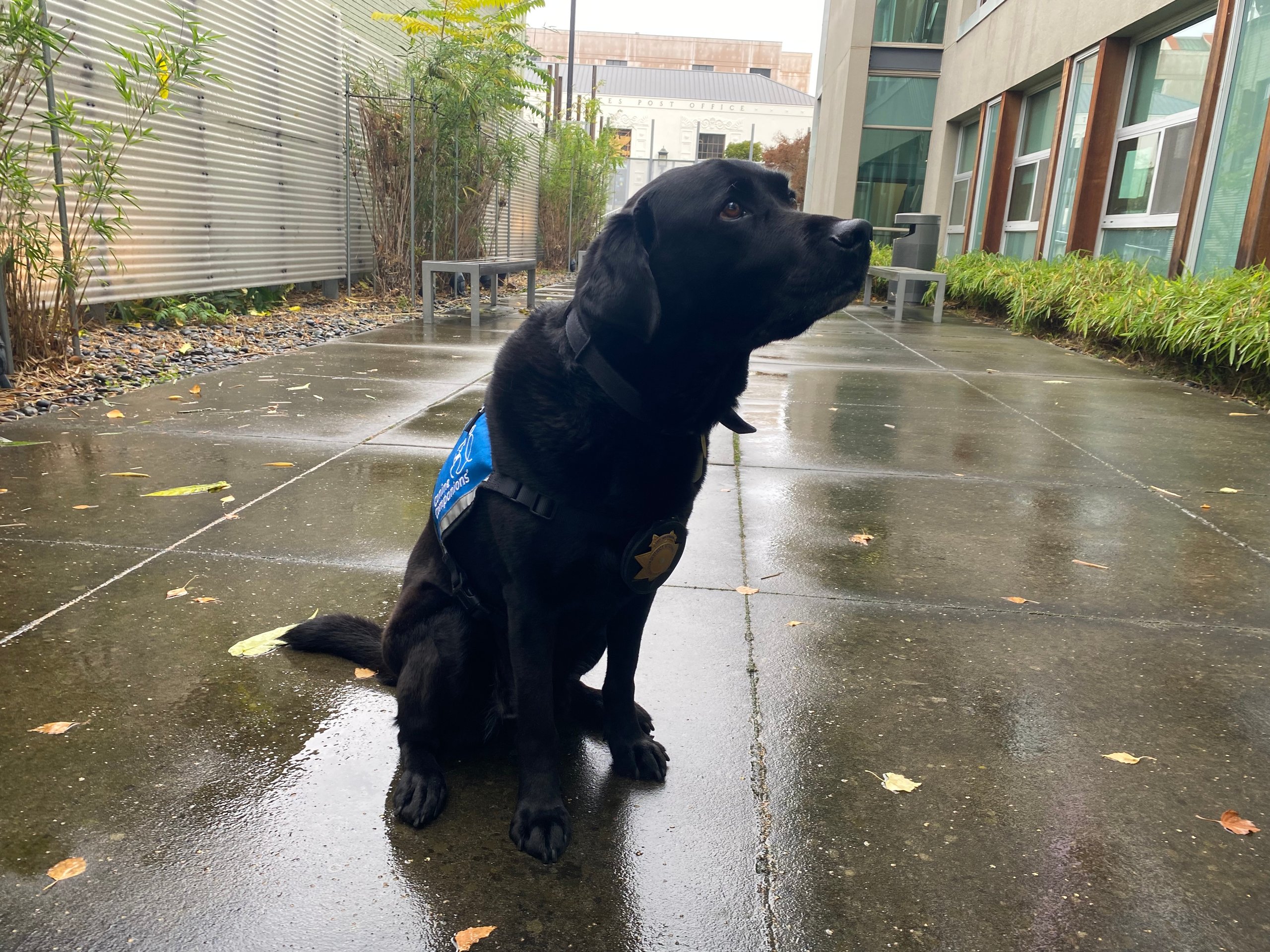 For youth facing stressful justice system, Bay Area judges have an ...