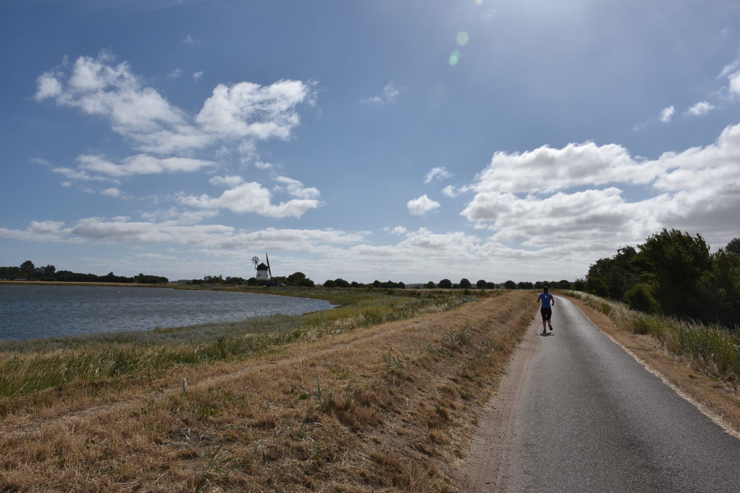 Wary of recent flooding, Denmark looks to unleash an array of solutions ...