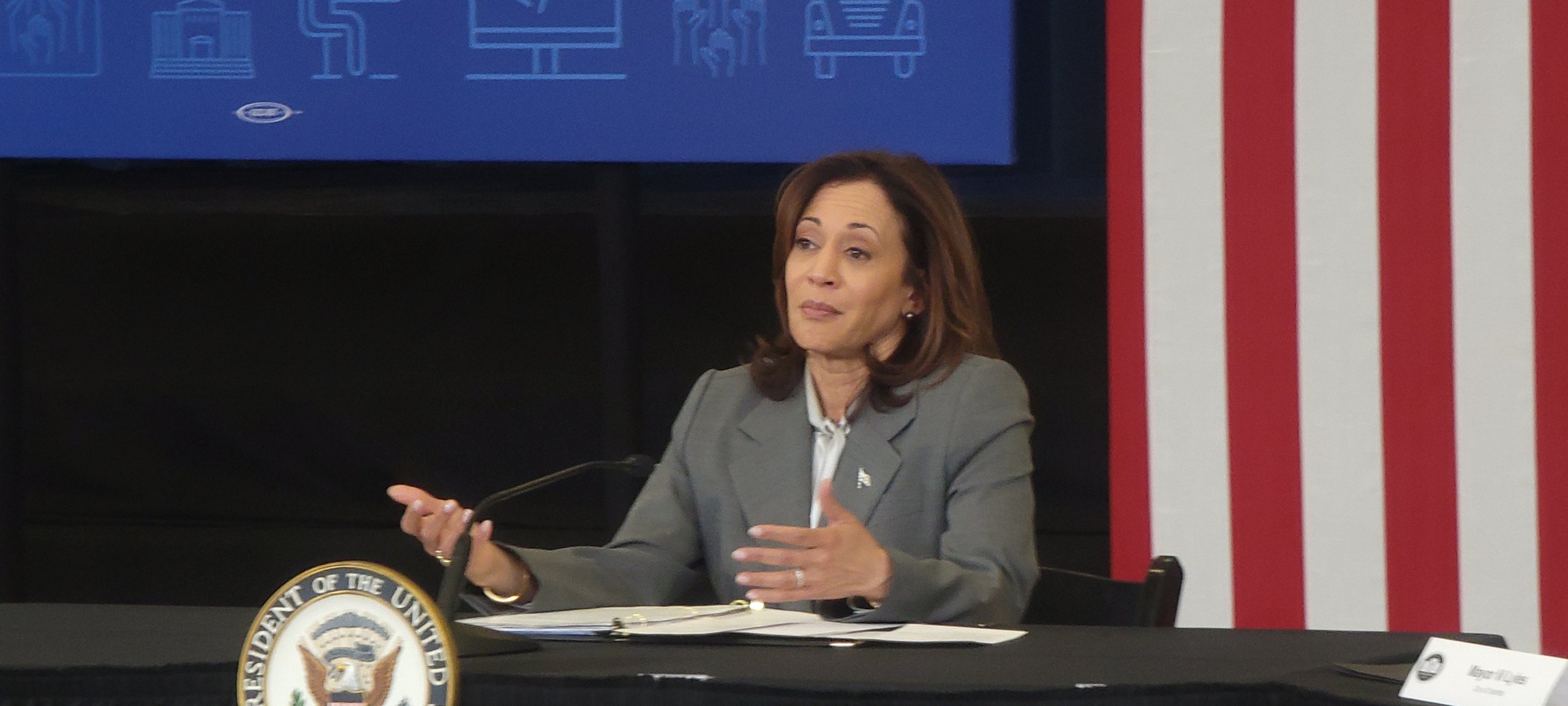 In visit to North Carolina, VP Harris announces $285 million for mental ...