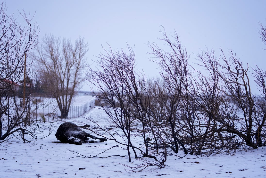 Texas battles historic wildfires as snow covers scorched land in the ...