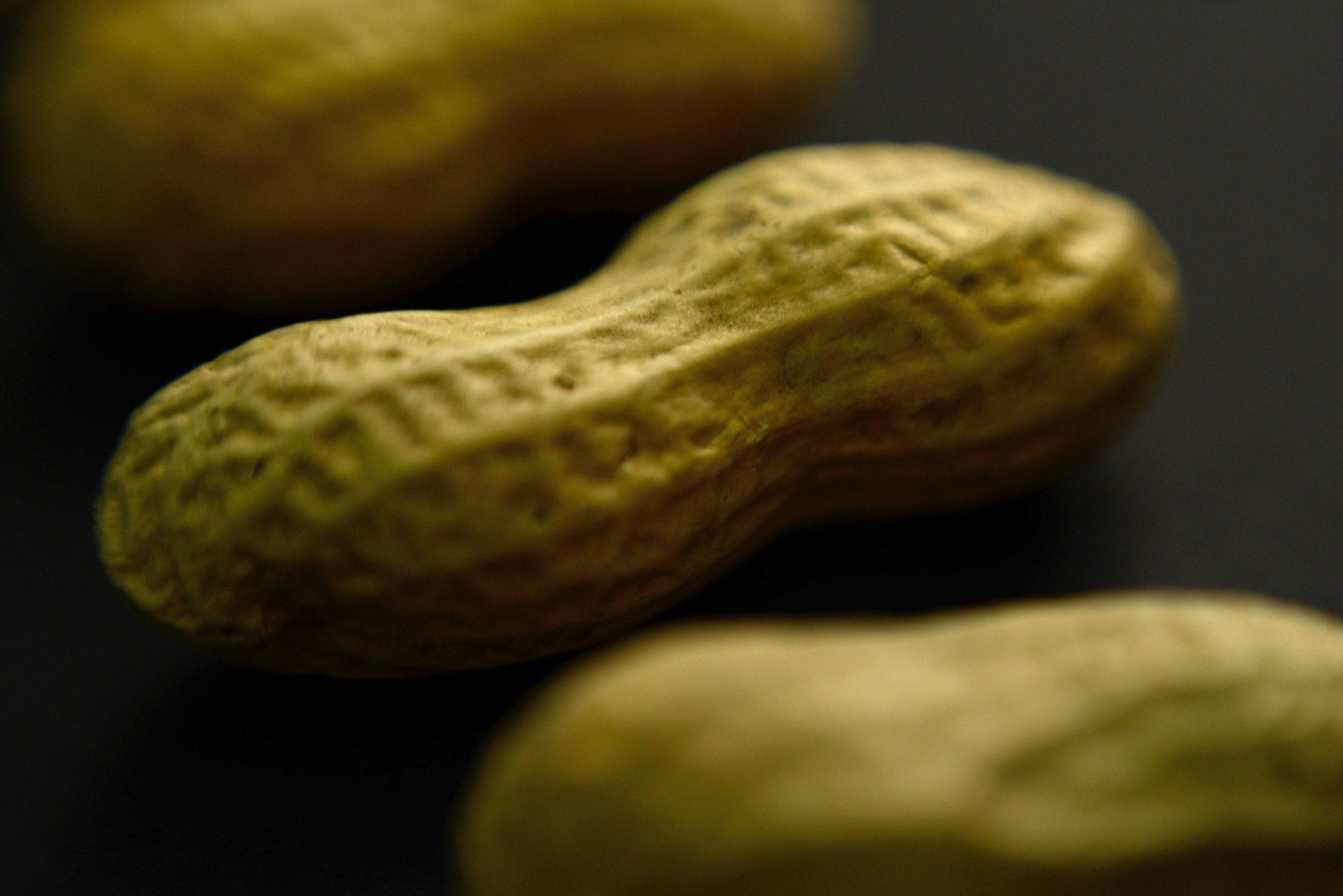 Peanut execs convicted of fraud over deadly salmonella outbreak appeal ...