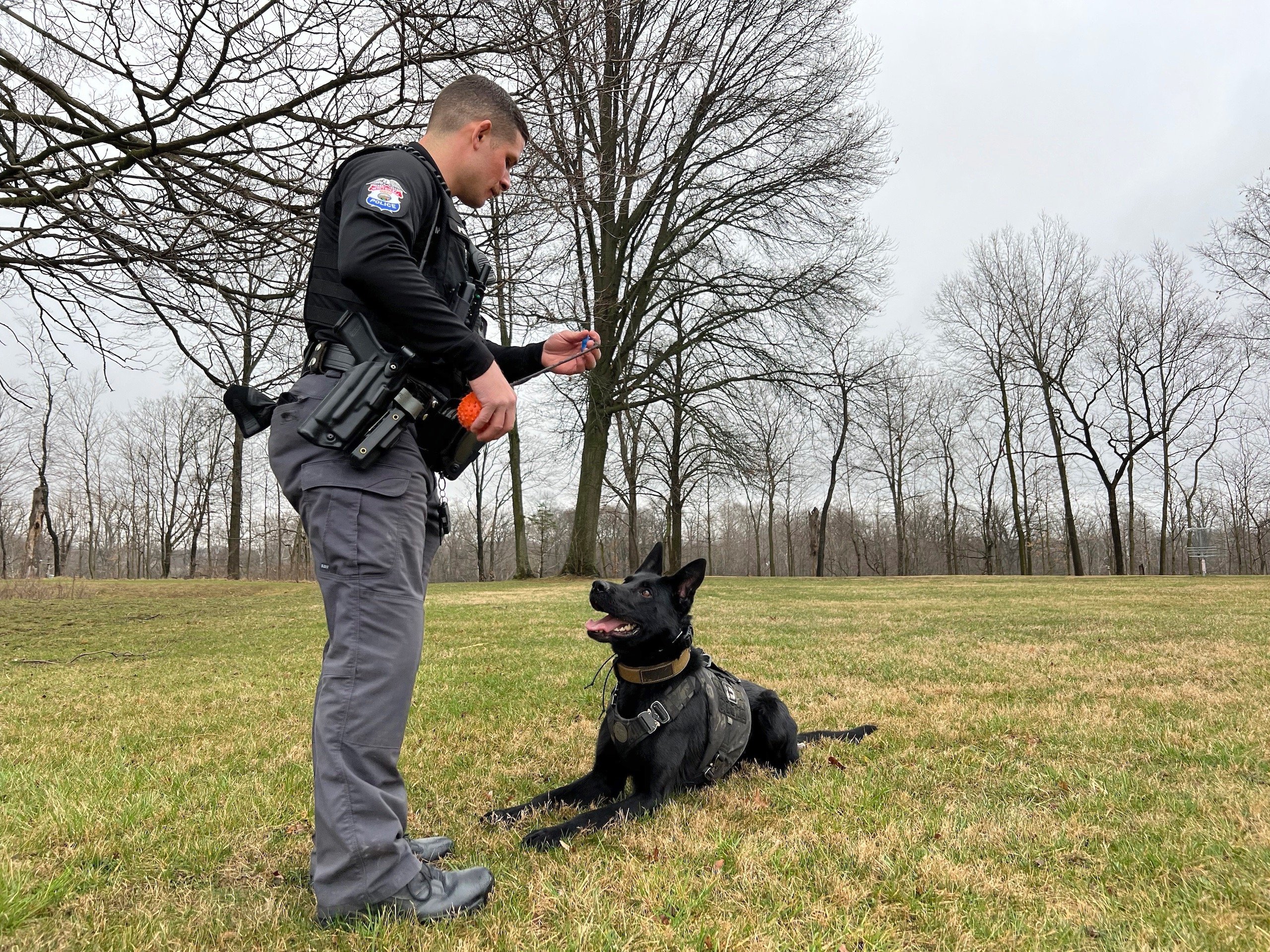 Top Minnesota court nixes sovereign immunity for police dog attacks ...