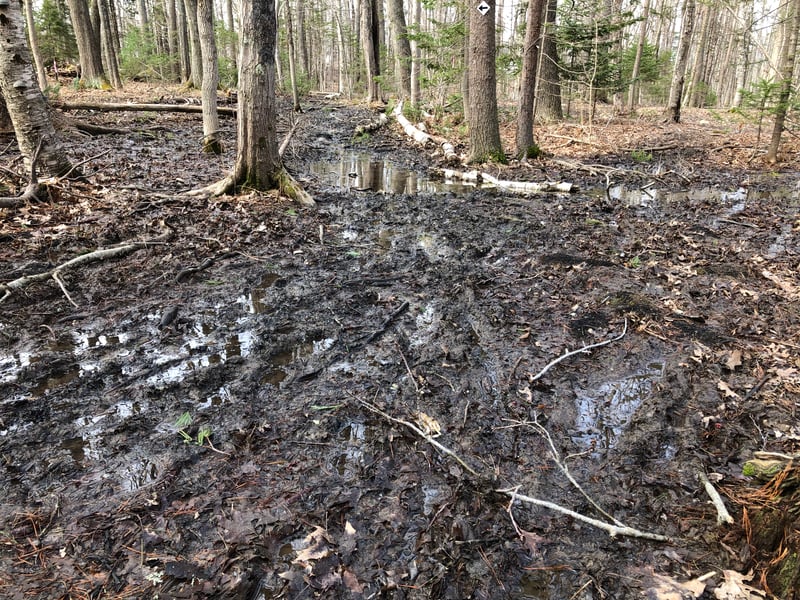 Mud season comes to Maine | Courthouse News Service