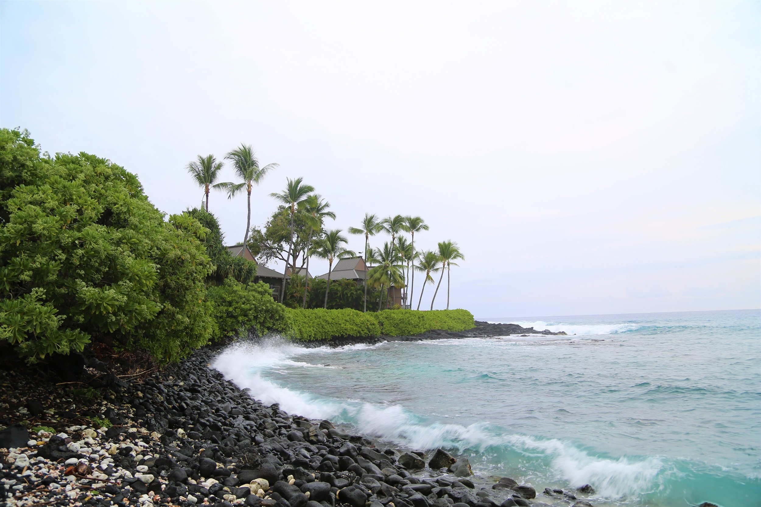 Against all odds, Hawaii’s children are returning | Courthouse News Service