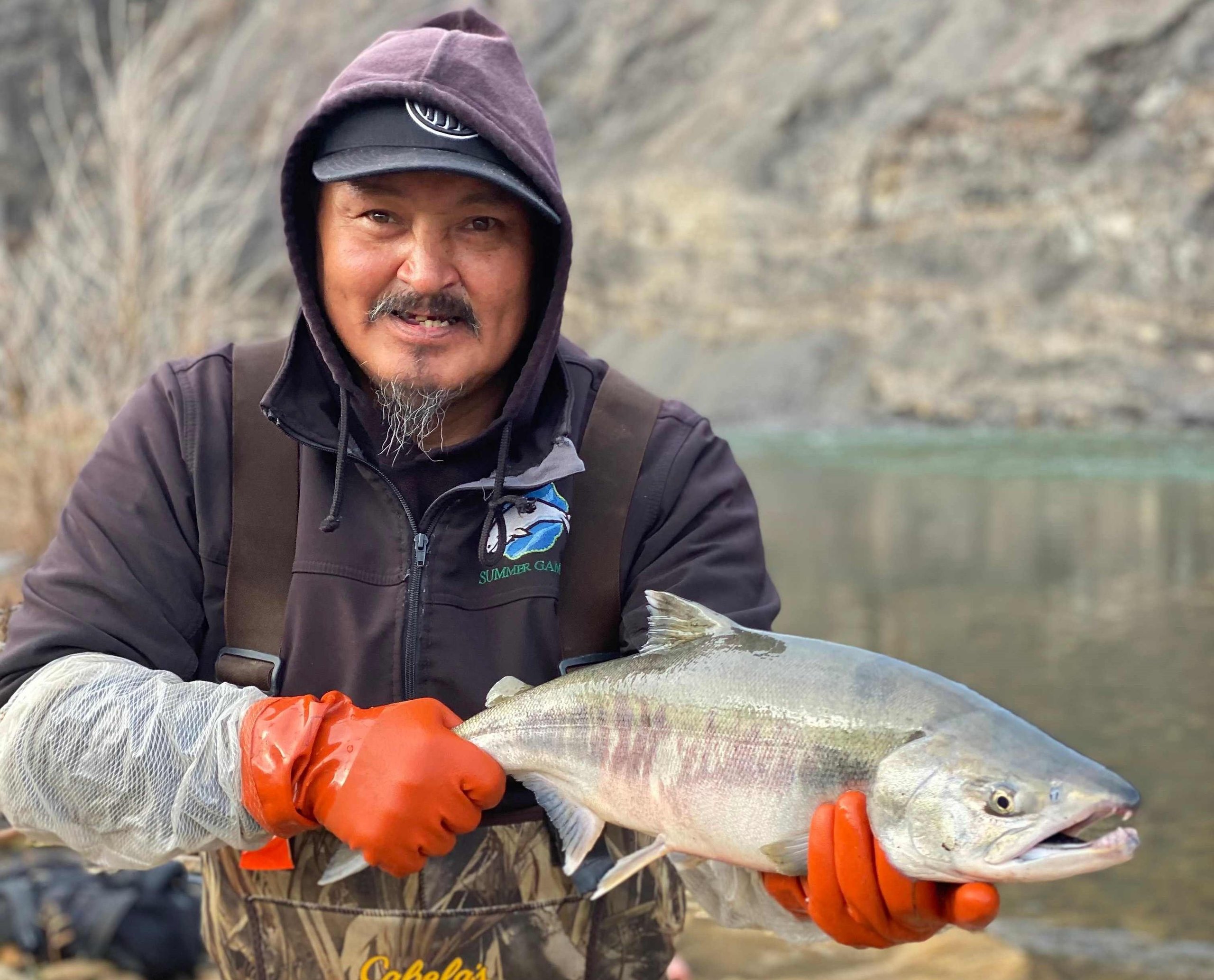 Climate change opens unwanted access to Arctic for Pacific salmon ...