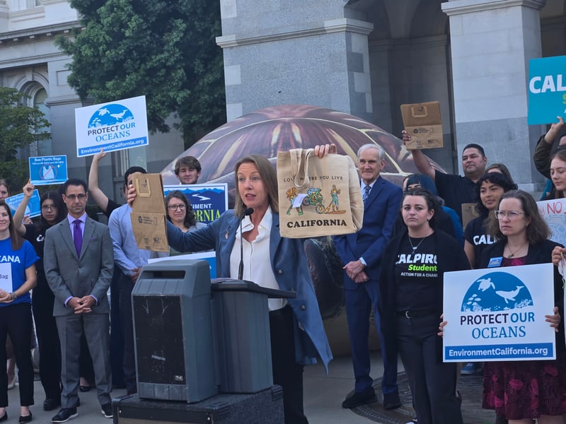 California governor signs bill implementing plastic bag ban ...