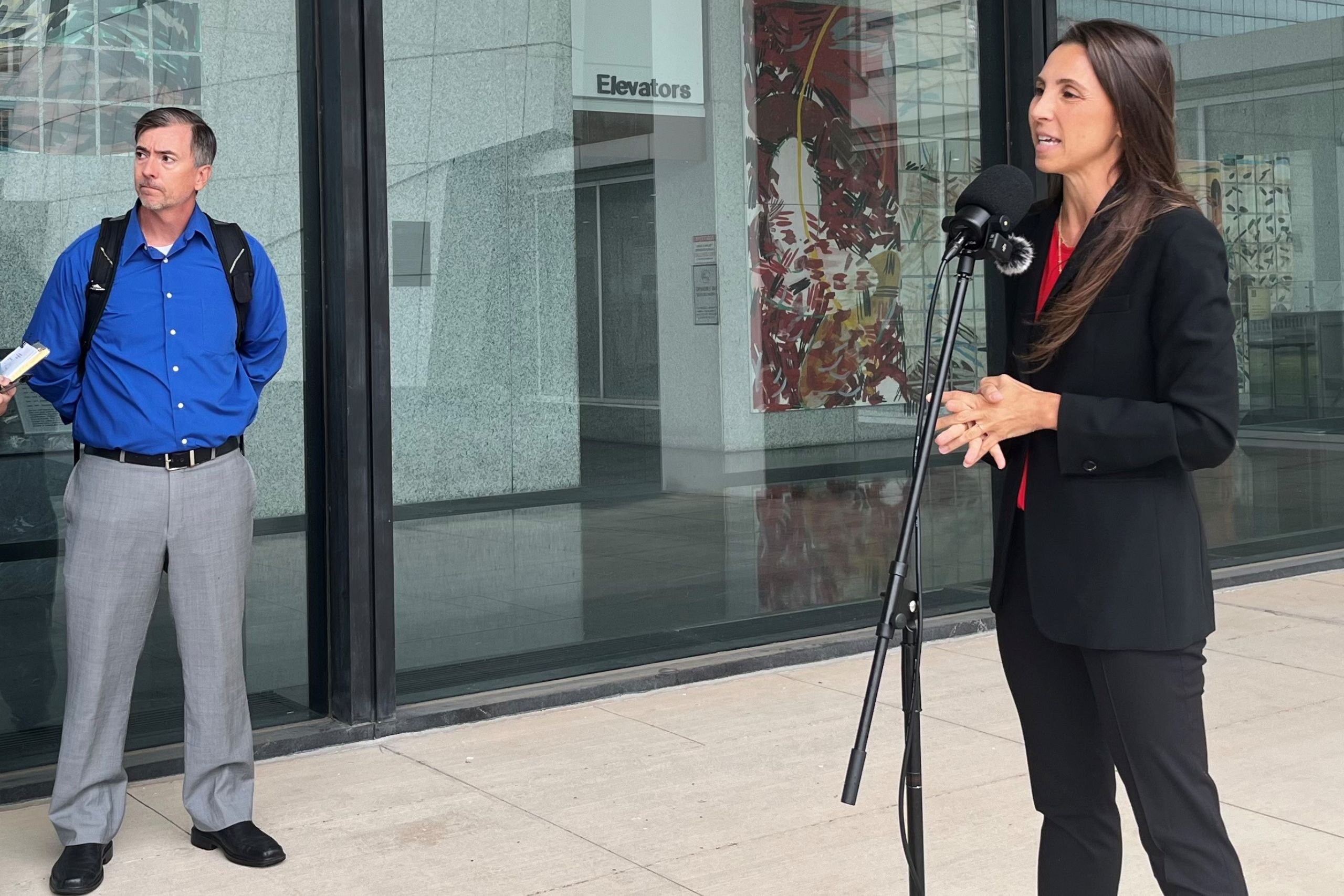 Georgia Republican election activists urge judge to let state remove ...