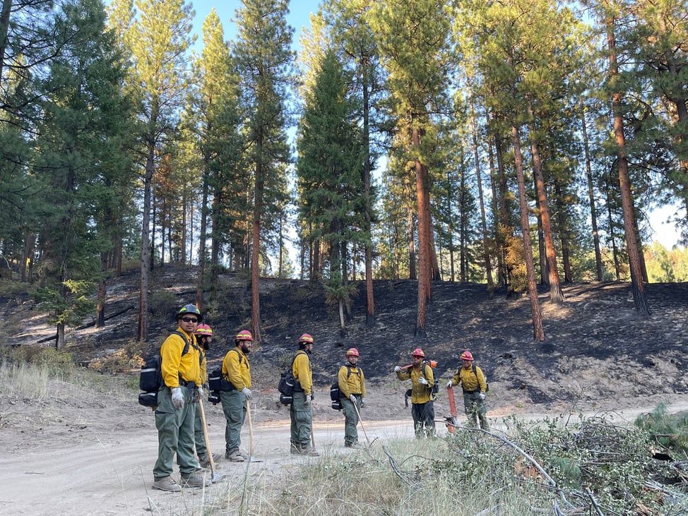 ‘Too wet to burn’ no longer: Green Idaho now unpredictable nursery of ...
