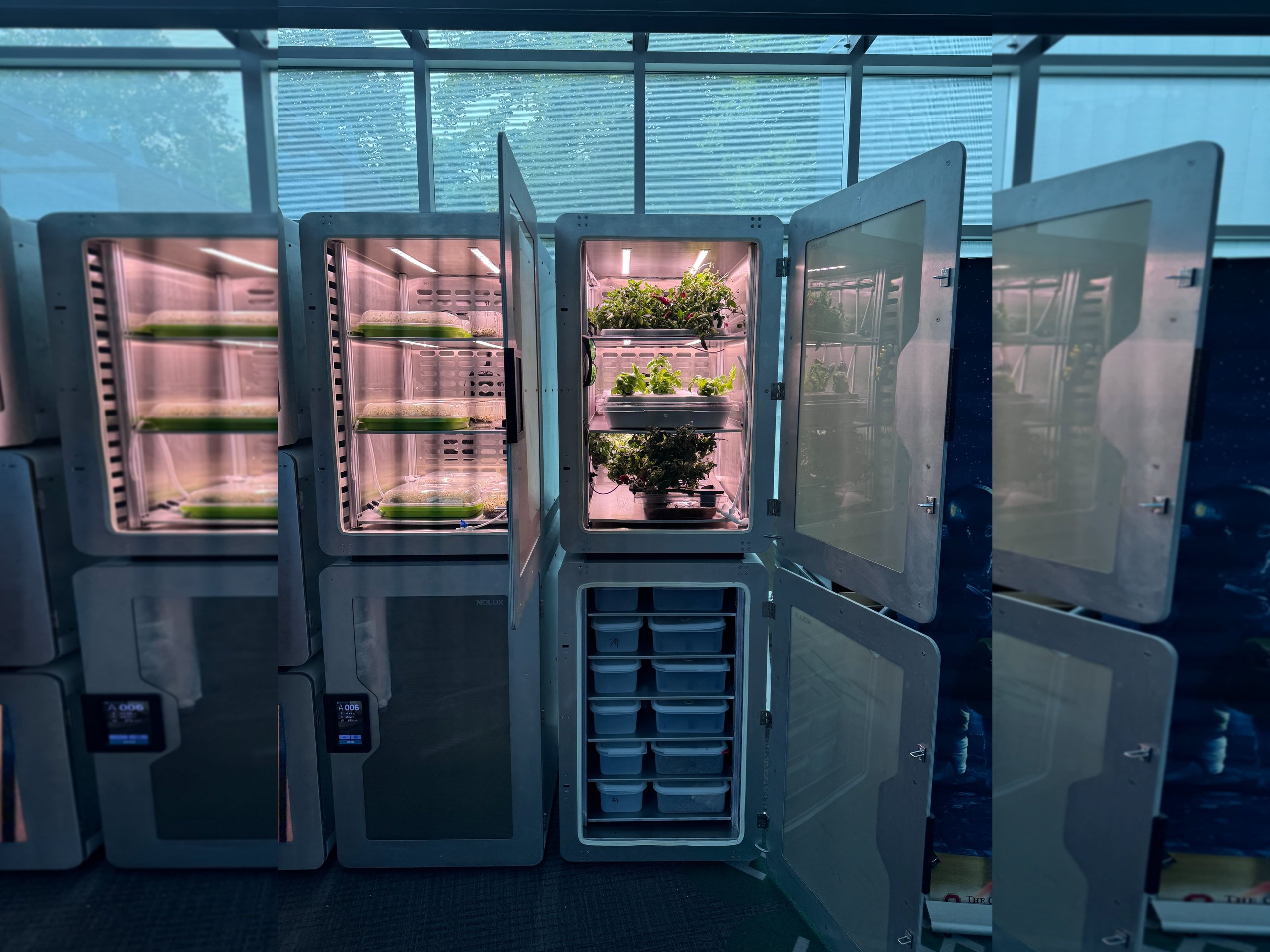 Innovative approach could allow plants to thrive without sunlight ...