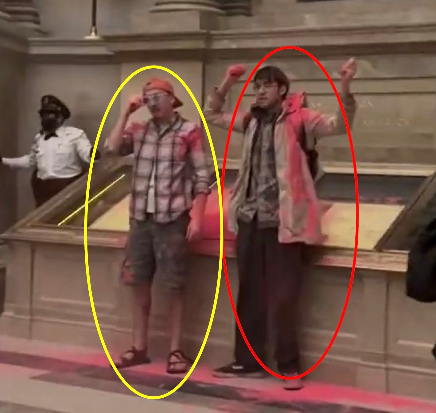 Climate activist gets two years for dumping red powder on Constitution ...