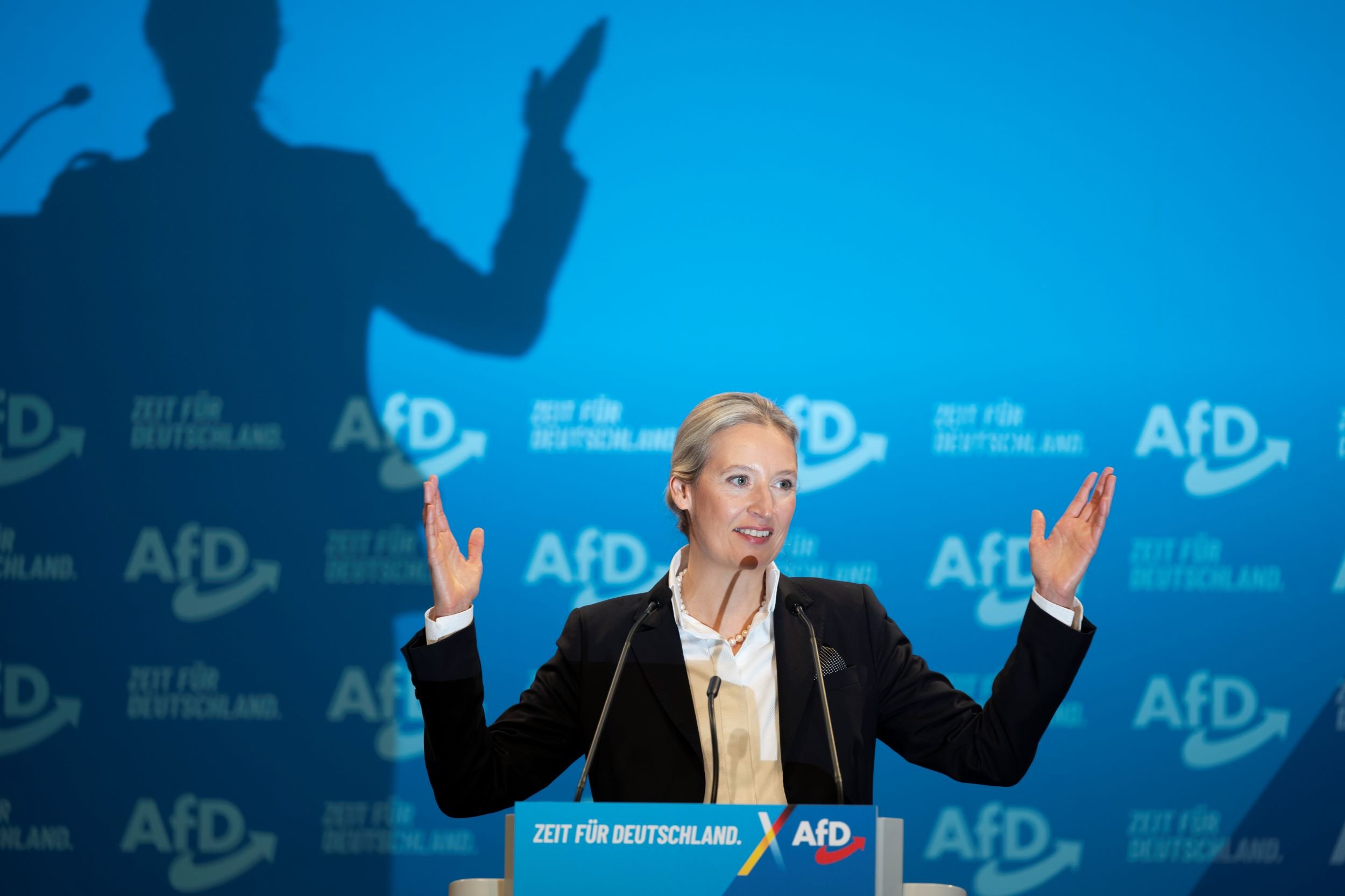 Germany lists far-right AfD party as danger to democracy | Courthouse ...