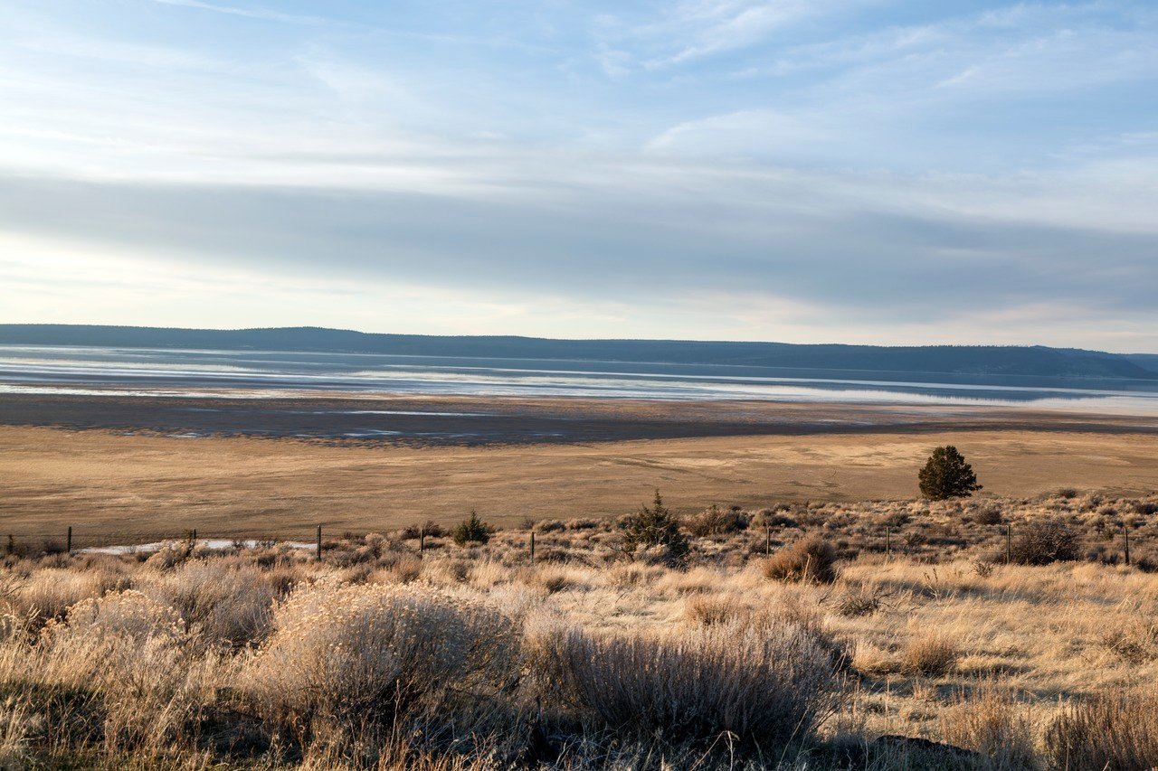 Environmentalists ask feds to declare Goose Lake fish species ...