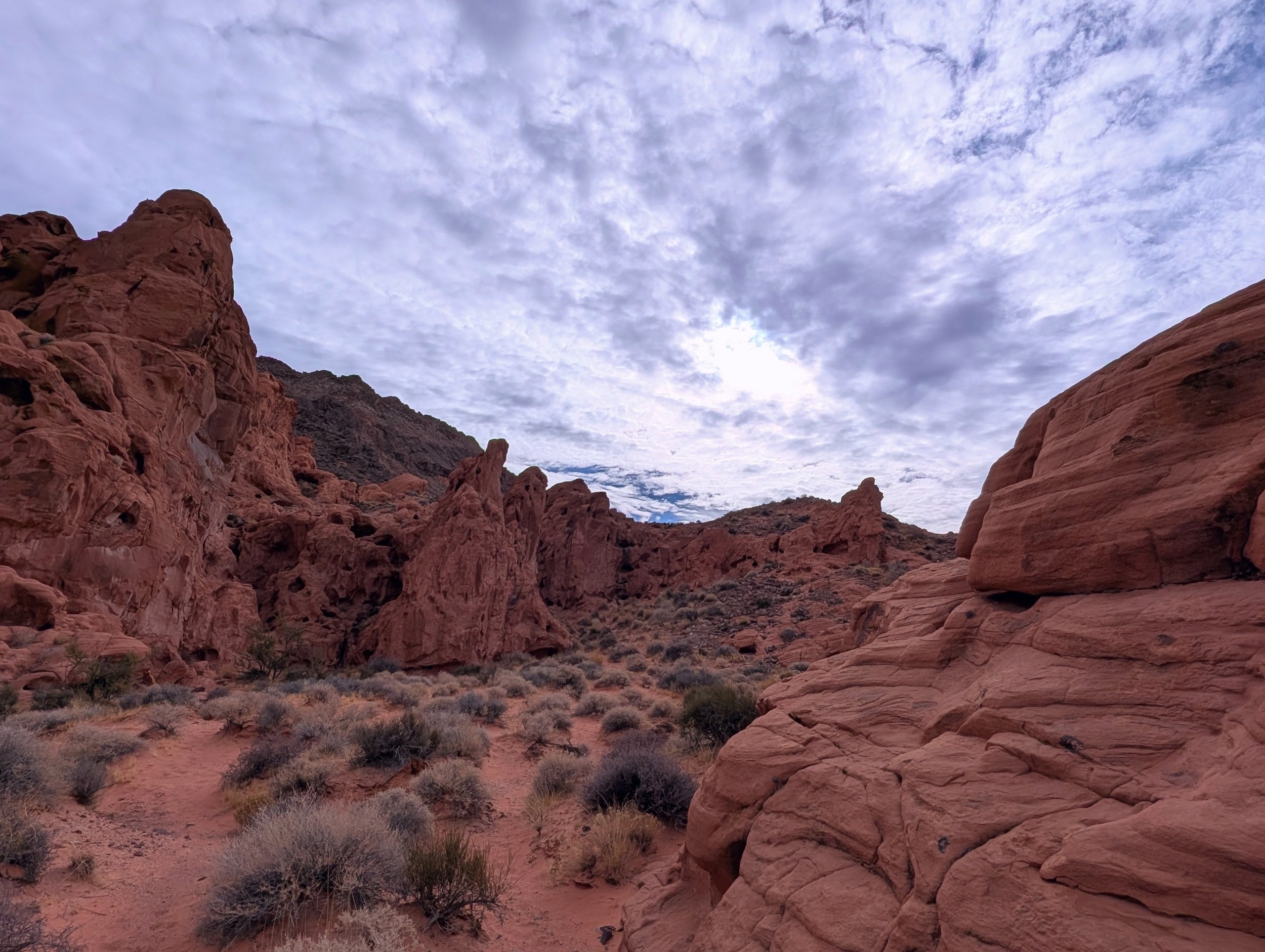Federal trial begins over damage to ancient rocks in Lake Mead ...