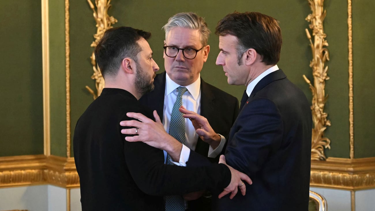 Horses leap through flames and pets go to church in Spanish animal rituals honoring St Anthony ...