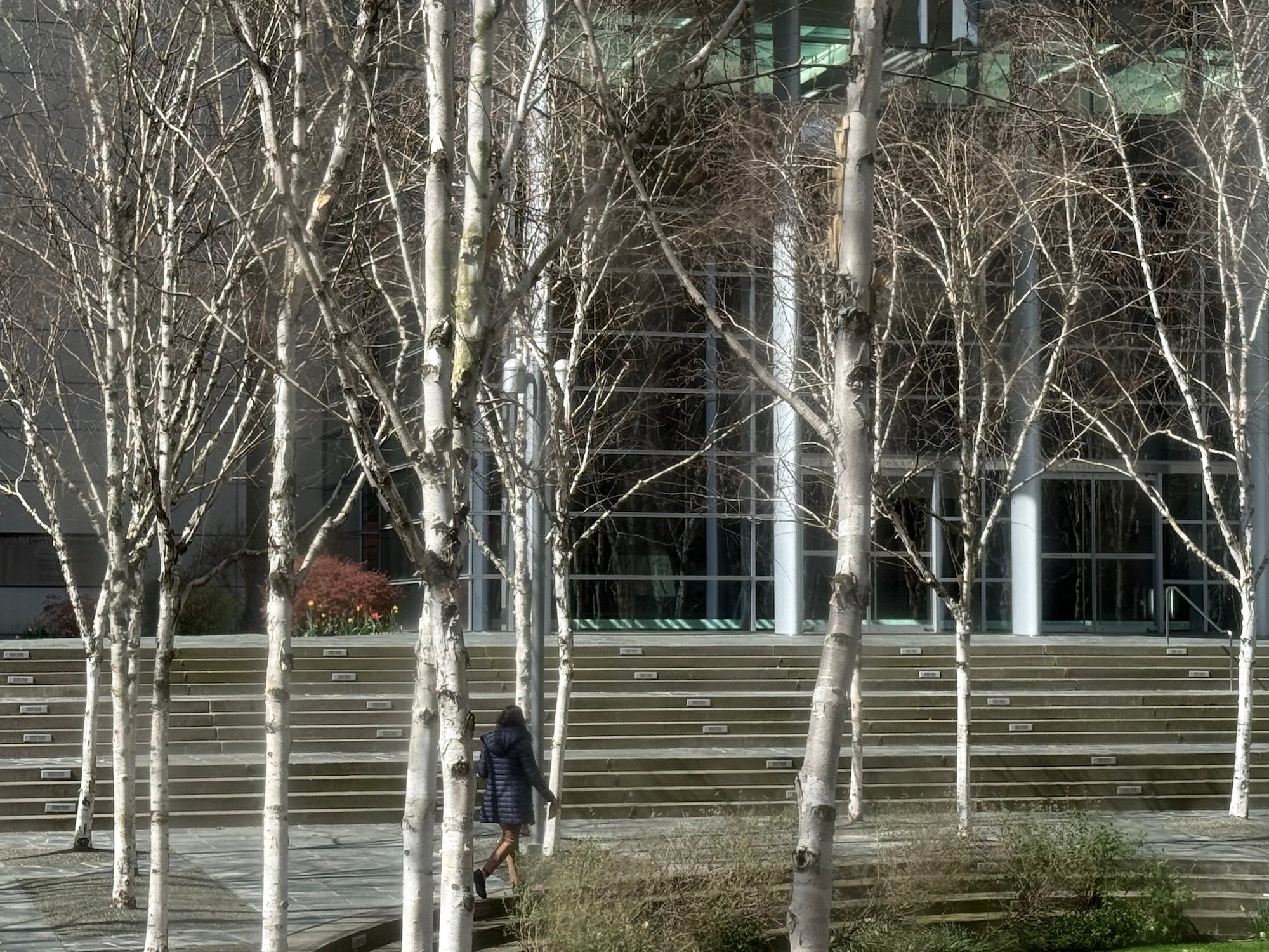 Ex-Army soldier pleads guilty to trying to pass US secrets to China ...