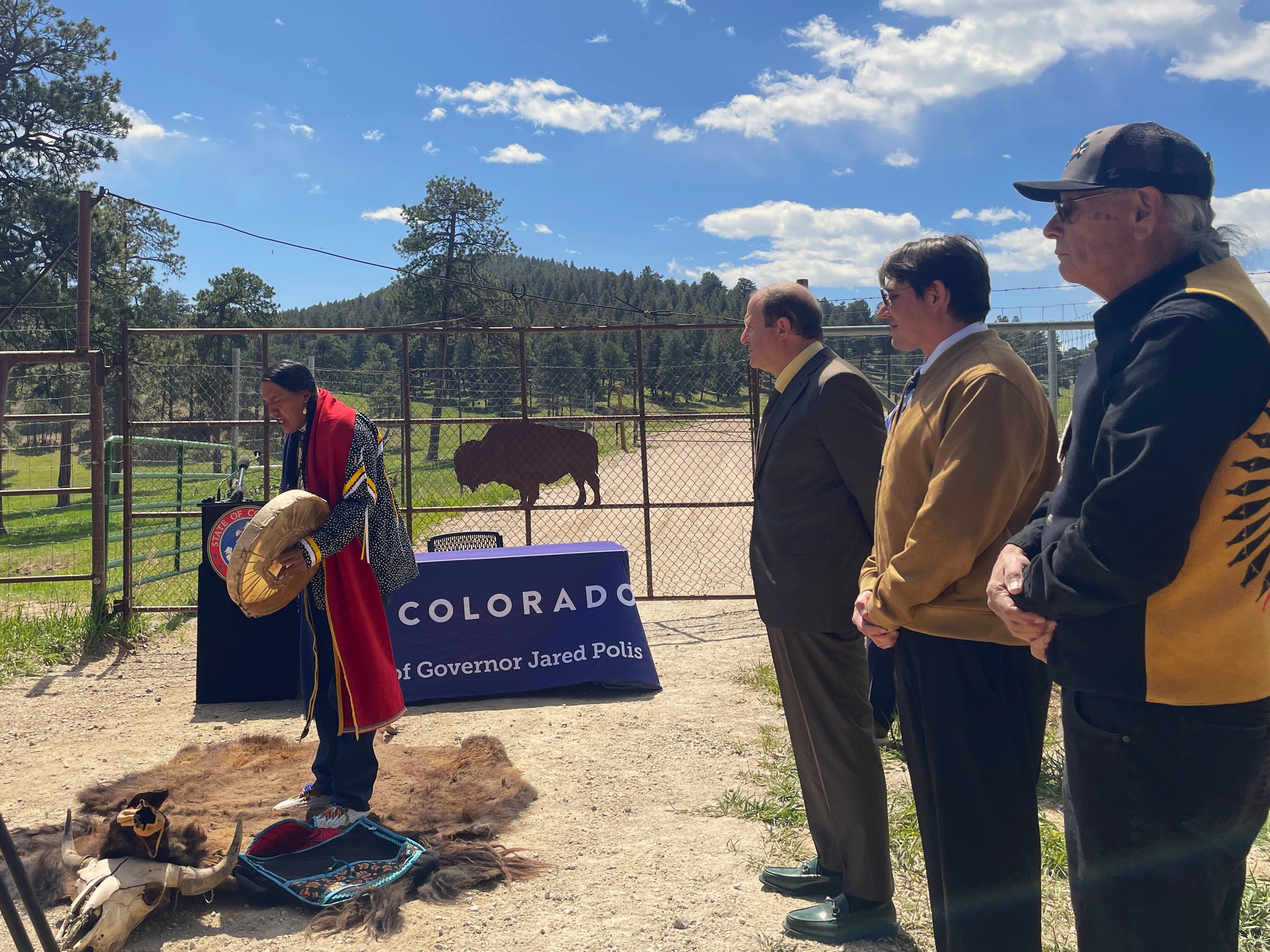 Colorado vows to protect wild bison by declaring them a huntable game ...