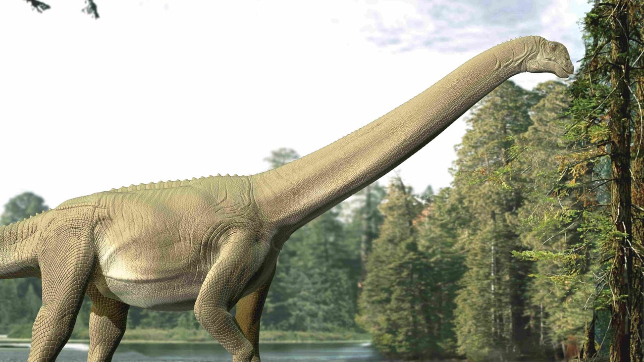 Argentine fossil reveals how dinosaurs began to grow tall | Courthouse ...