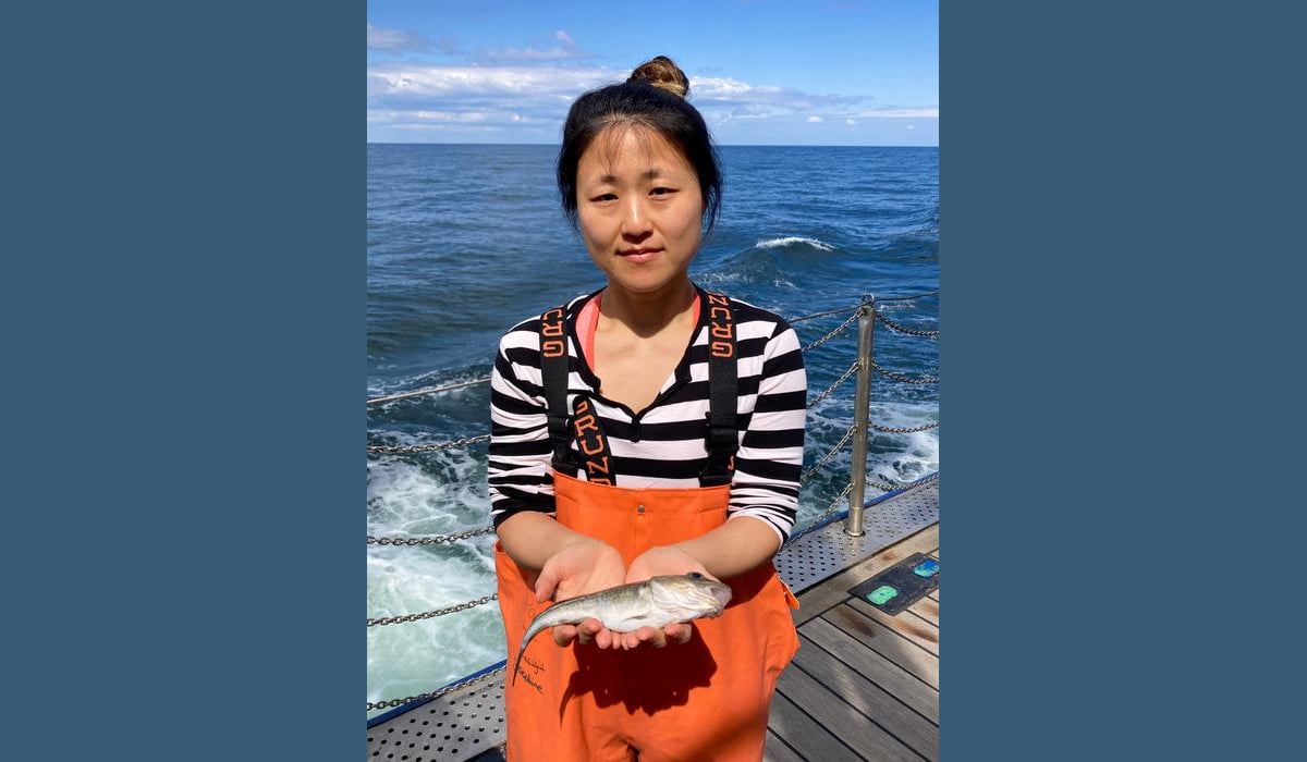 New study finds cod are shrinking from overfishing | Courthouse News ...