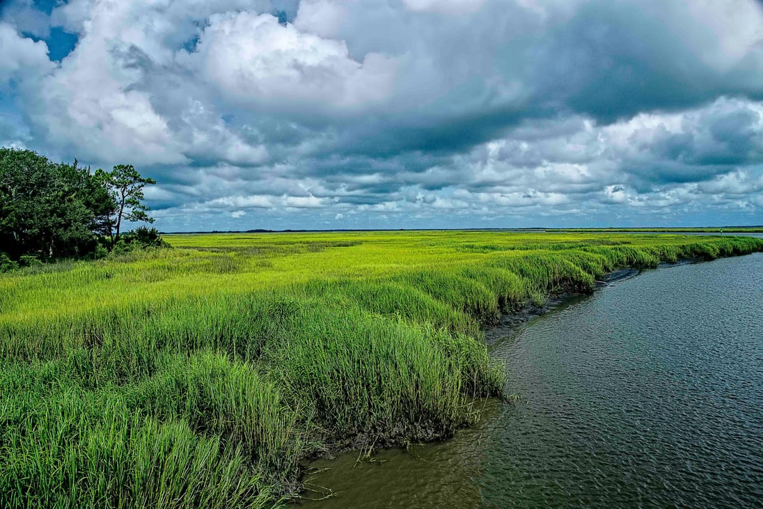 Environmentalists lose fight against developer over Georgia wetland ...