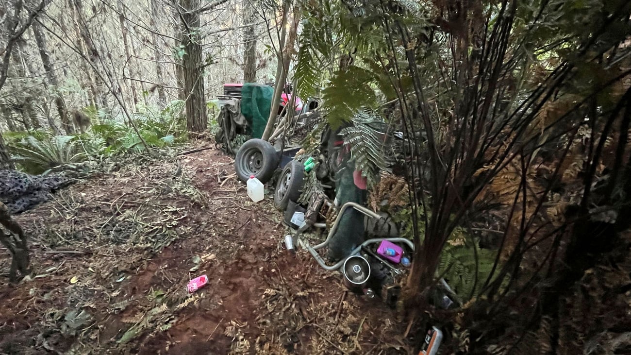 New Zealand police investigate how a man hid his 3 children in a forest ...