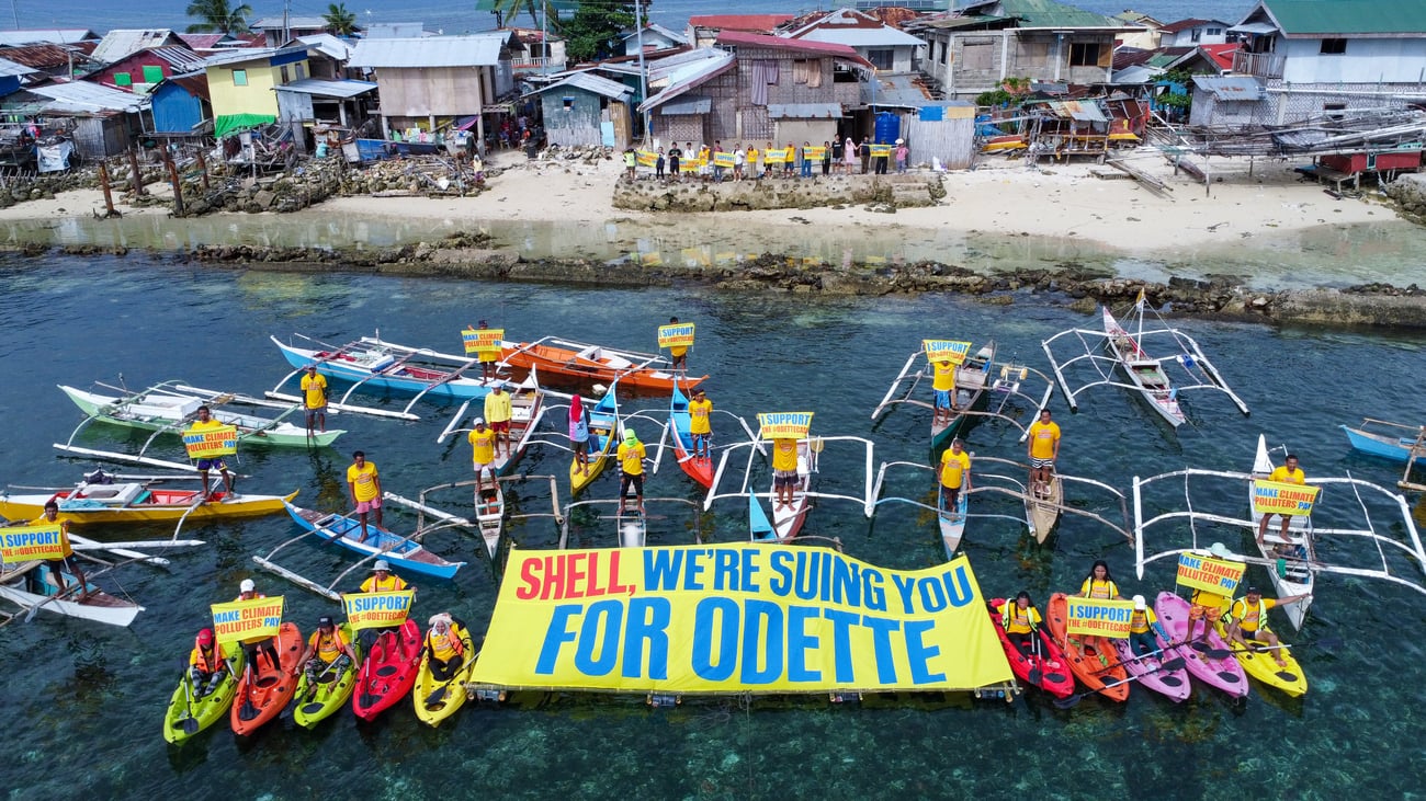 Study finds two coral species in Florida 'functionally extinct' after ...