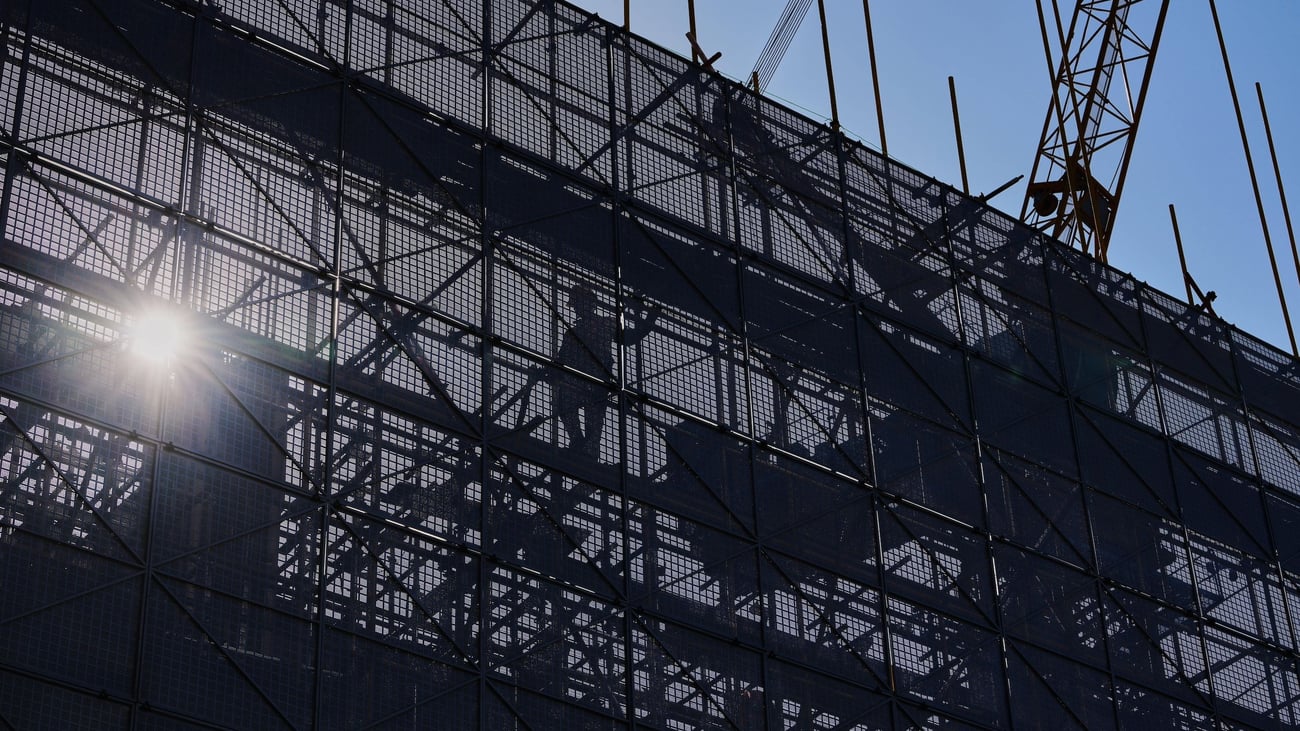 Study finds two coral species in Florida 'functionally extinct' after ...