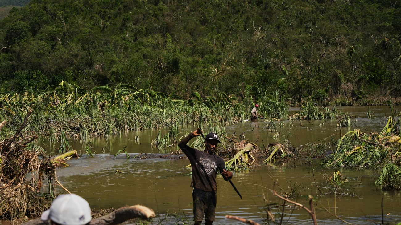 Hurricane Melissa deals another heavy blow to Jamaica's farmers and ...