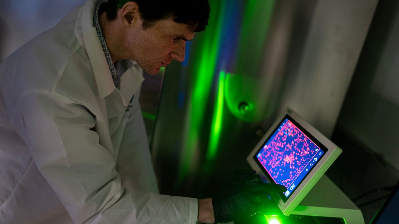 Arachnid super-web reveals the surprising 'constant party' life of ...