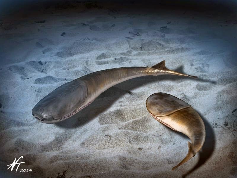 The extinction event that quietly rewrote evolution | Courthouse News ...