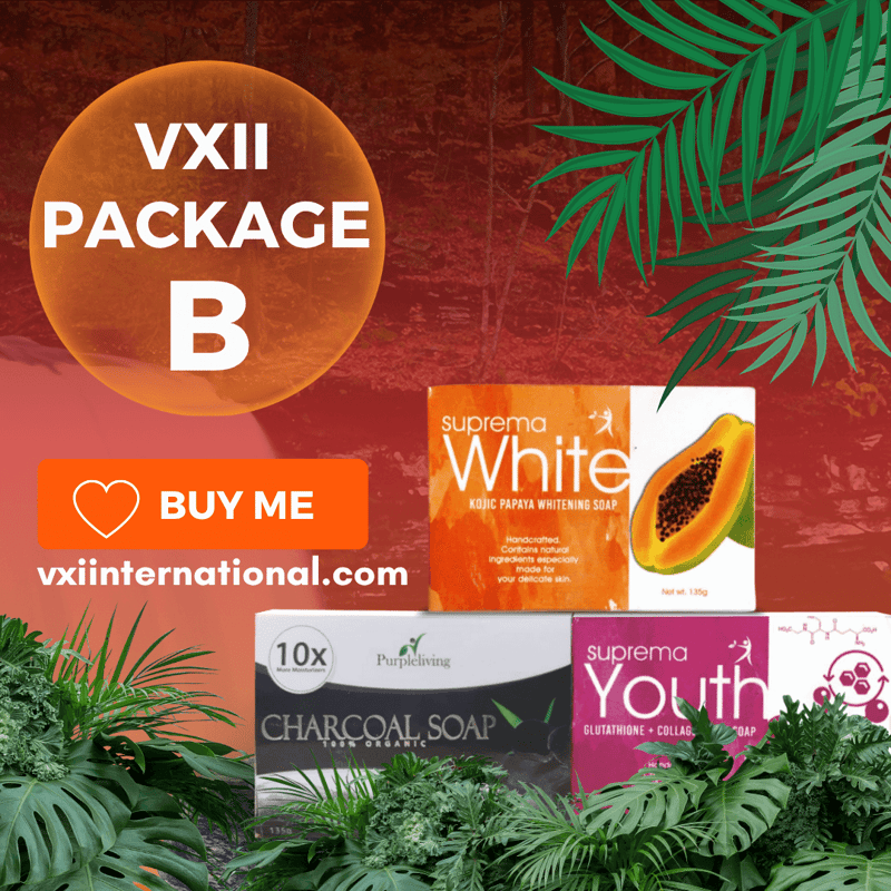 VXI International