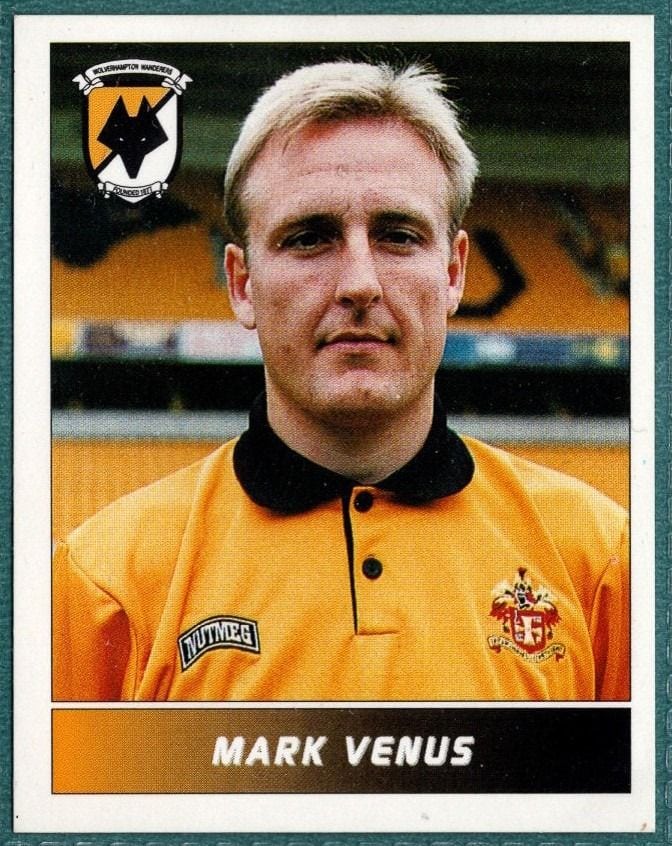 Panini Sticker Mark Venus Wolves No.354 - Football League 95