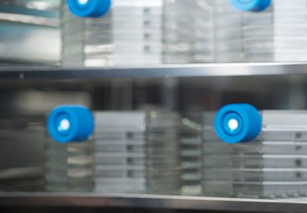 MCO-80ICL-PA CytoGROW Reach-In Large Capacity CO2 Incubator