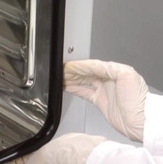 Clean Cell Culture Incubators [6 Step Guide]