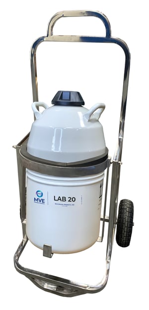 MVE Biological Solutions | Official Partner & Distributor of MVE