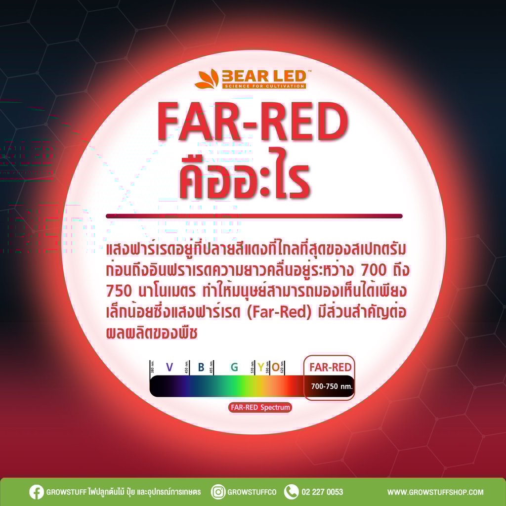 ความสำคัญของแสงฟาร์เรด (Far-Red) ในไฟปลูกต้นกัญชา - GrowStuff Shop ...