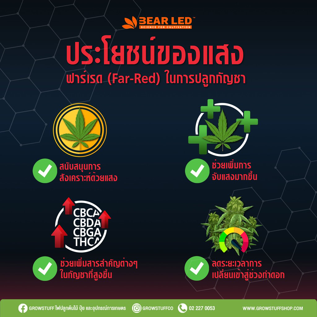 ความสำคัญของแสงฟาร์เรด (Far-Red) ในไฟปลูกต้นกัญชา - GrowStuff Shop ...