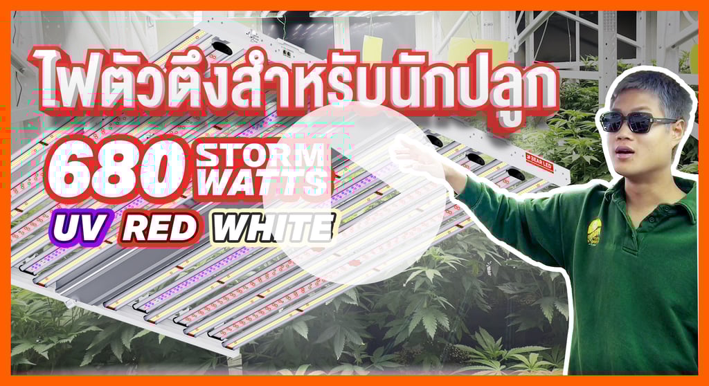 [VDO] BearLED STORM ULTIMATE 980W ไฟปลูกต้นไม้ Full Spectrum ตัวตึงสำหรับนักปลูก - GrowStuff ...