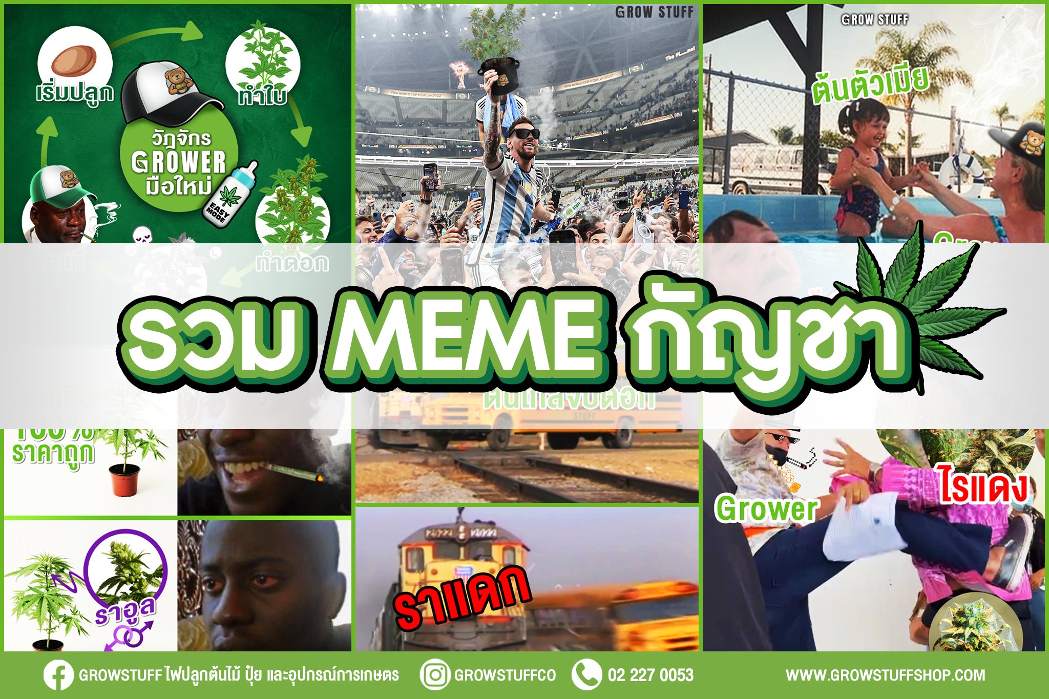 รวมมีมกัญชาโดยพี่หมี Grow Stuff - GrowStuff Shop อุปกรณ์ปลูกต้นไม้