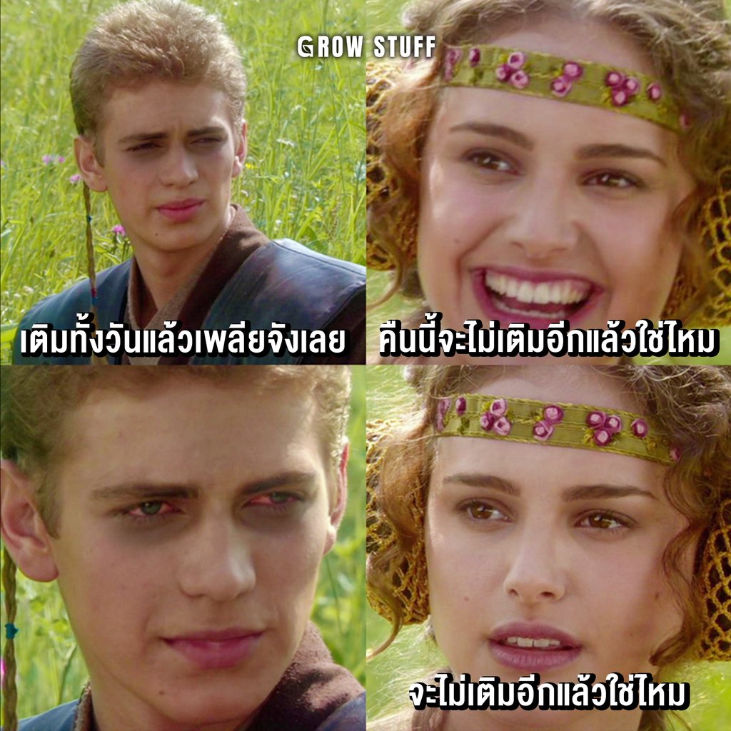 รวมมีมกัญชาโดยพี่หมี Grow Stuff - GrowStuff Shop อุปกรณ์ปลูกต้นไม้