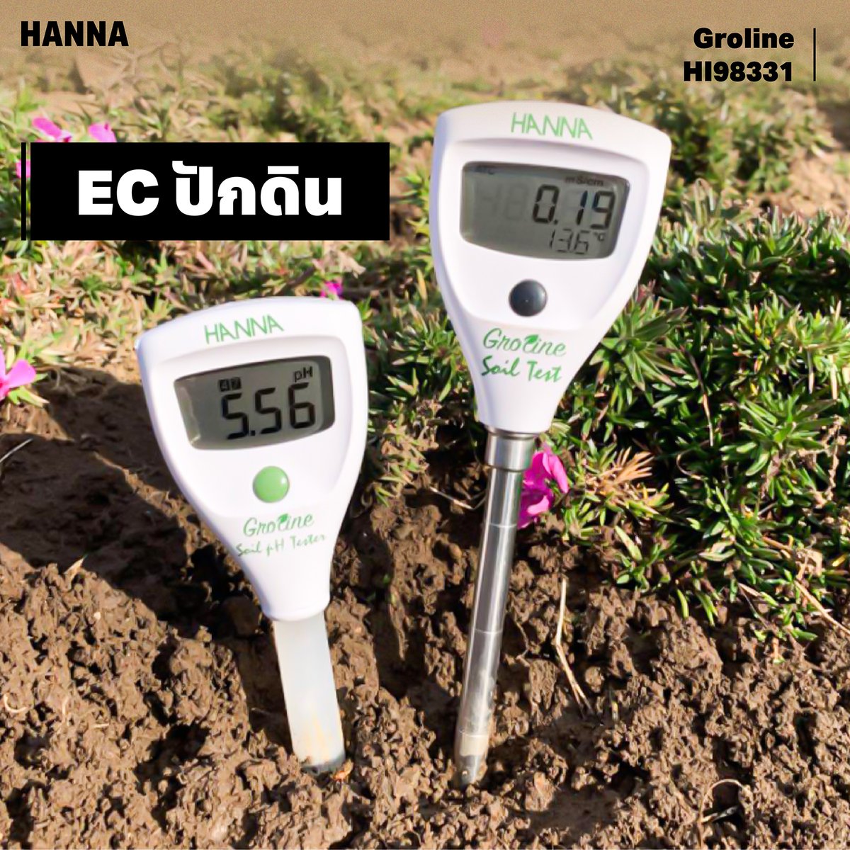 Hanna HI98331 เครื่องวัดค่า EC ในดิน Direct Soil EC Tester - GrowStuff ...