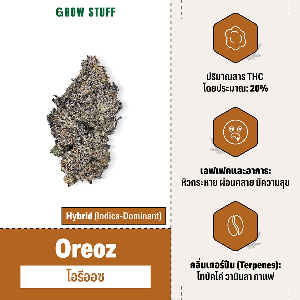 Top 10 สายพันธุ์กัญชา Hybrid - GrowStuff Shop อุปกรณ์ปลูกต้นไม้