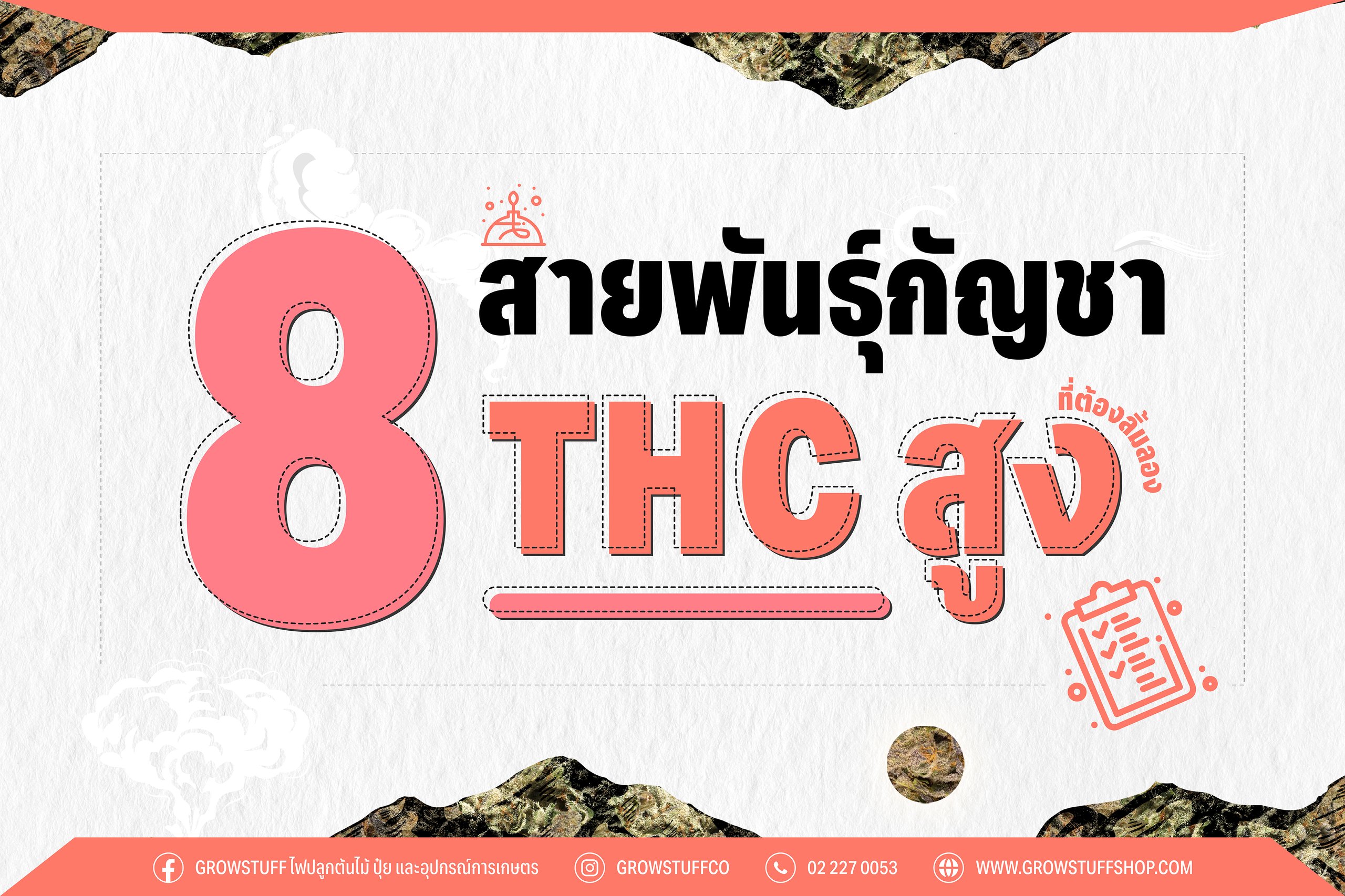 8 สายพันธุ์กัญชา THC สูงที่ต้องลิ้มลอง - GrowStuff Shop อุปกรณ์ปลูกต้นไม้