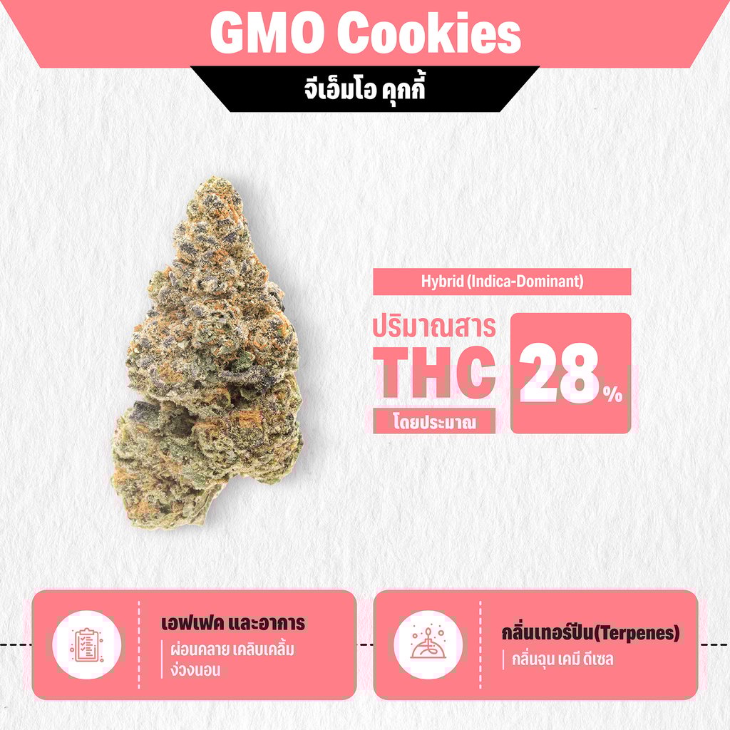 8 สายพันธุ์กัญชา THC สูงที่ต้องลิ้มลอง - GrowStuff Shop อุปกรณ์ปลูกต้นไม้