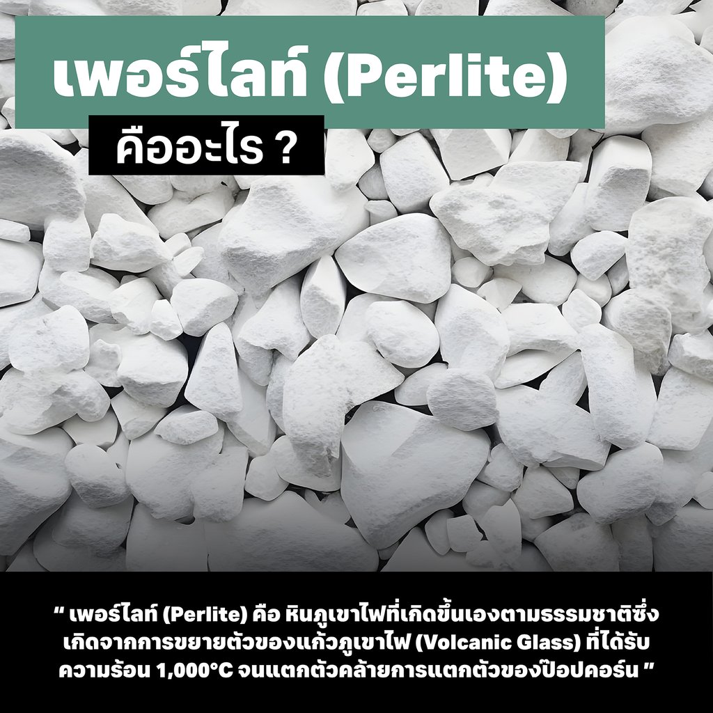 เพอร์ไลท์ (Perlite) คืออะไร ใช้ยังไง และมีประโยชน์อะไรบ้าง? - GrowStuff Shop อุปกรณ์ปลูกต้นไม้