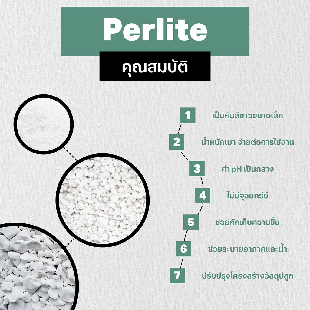 เพอร์ไลท์ (Perlite) คืออะไร ใช้ยังไง และมีประโยชน์อะไรบ้าง? - GrowStuff Shop อุปกรณ์ปลูกต้นไม้