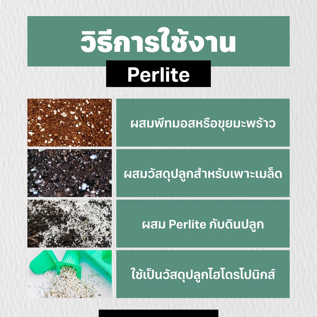 เพอร์ไลท์ (Perlite) คืออะไร ใช้ยังไง และมีประโยชน์อะไรบ้าง? - GrowStuff Shop อุปกรณ์ปลูกต้นไม้