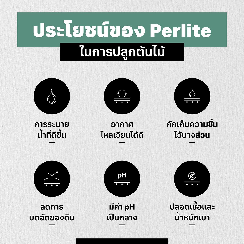 เพอร์ไลท์ (Perlite) คืออะไร ใช้ยังไง และมีประโยชน์อะไรบ้าง? - GrowStuff Shop อุปกรณ์ปลูกต้นไม้