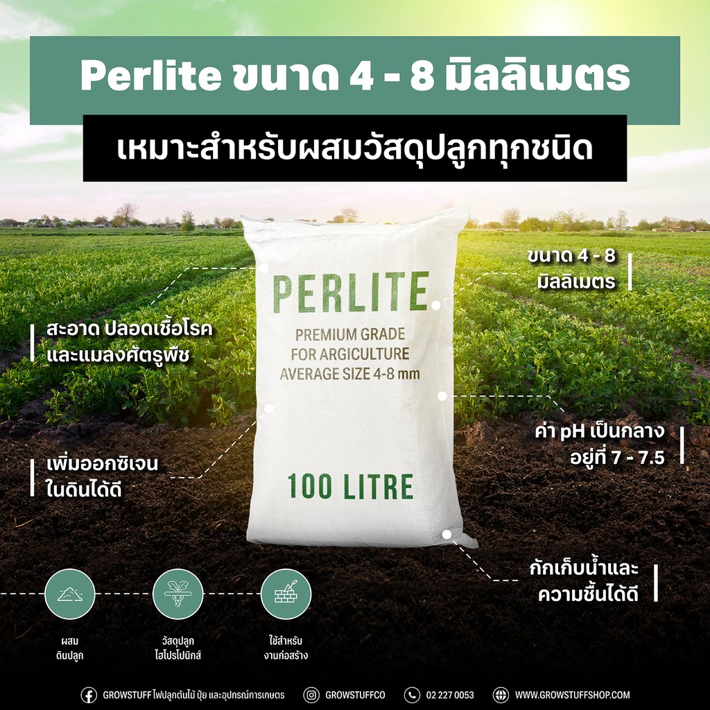 เพอร์ไลท์ (Perlite) คืออะไร ใช้ยังไง และมีประโยชน์อะไรบ้าง? - GrowStuff Shop อุปกรณ์ปลูกต้นไม้