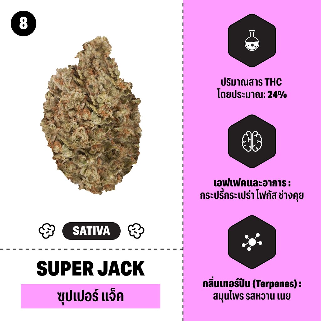 8 สายพันธุ์กัญชา Sativa ที่น่าสนใจในปี 2023 - GrowStuff Shop อุปกรณ์ปลูกต้นไม้